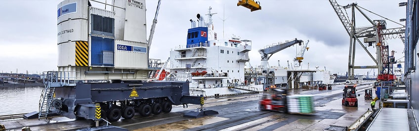 Project Import Handling | Shree Ambica Logistics